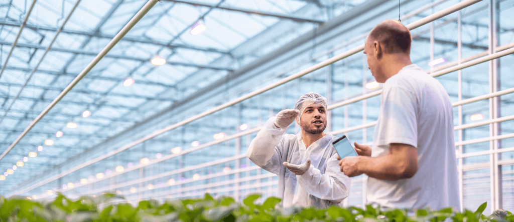 RED Horticulture & Wageningen University partners for dynamic lighting ...